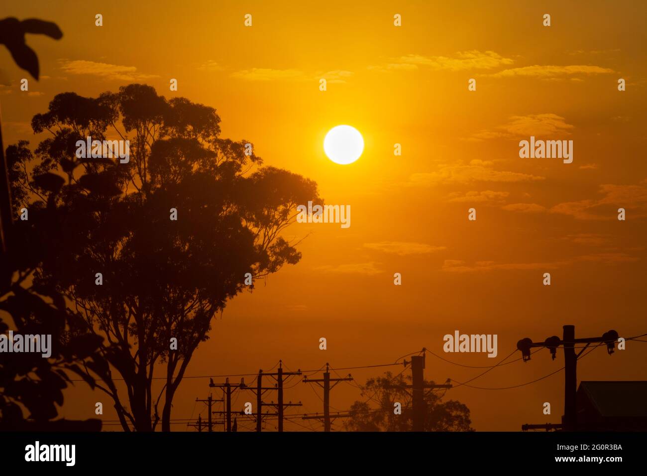 Sunrise in Summer in Australia Stock Photo - Alamy