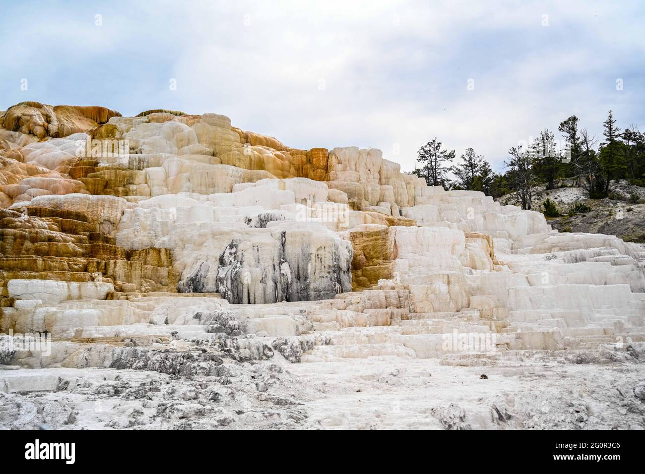 Yellowstone national park living hi-res stock photography and images ...