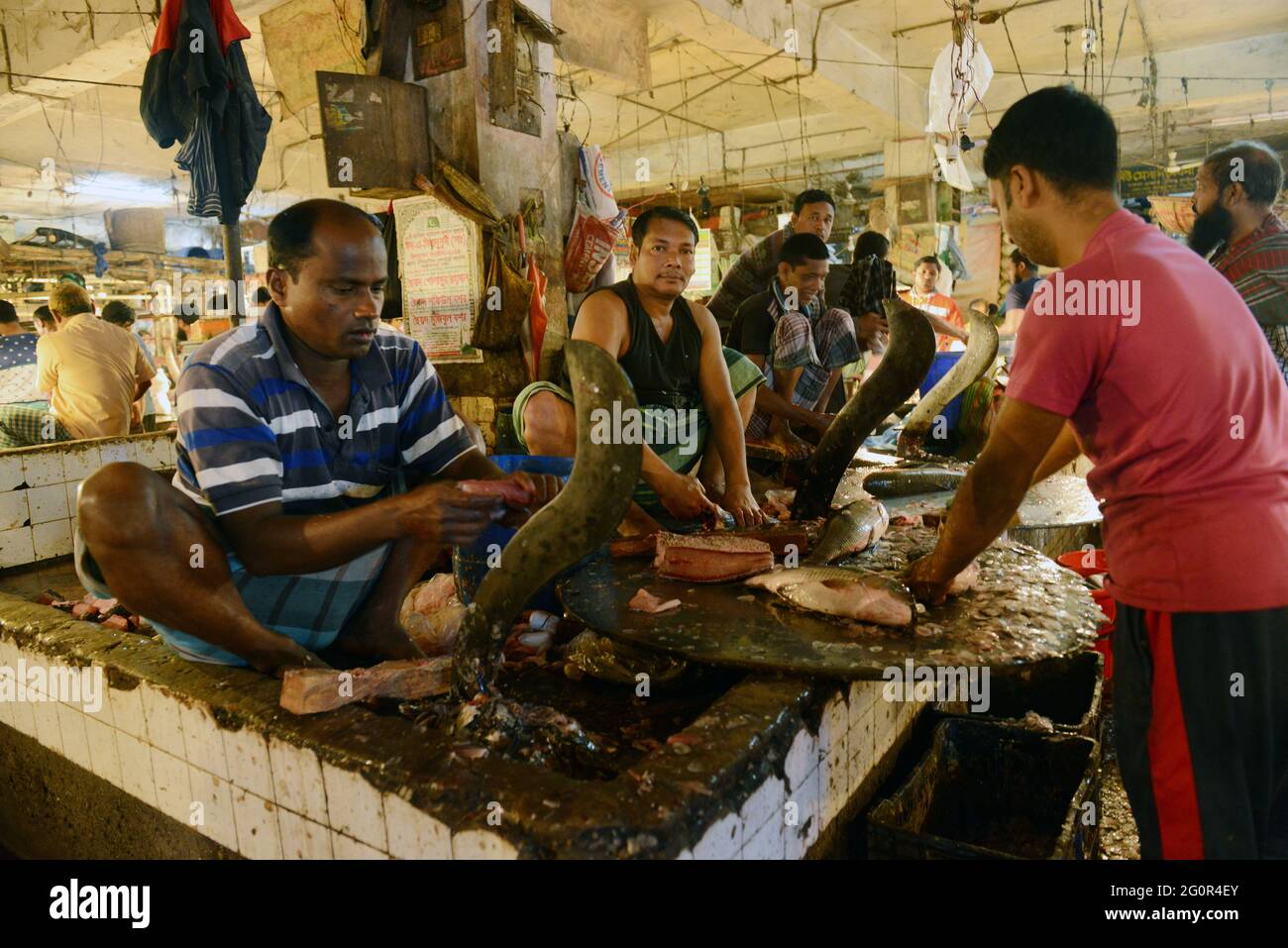 An indoor fish market at the Karwan Bazar market in Dhaka, Bangladesh ...