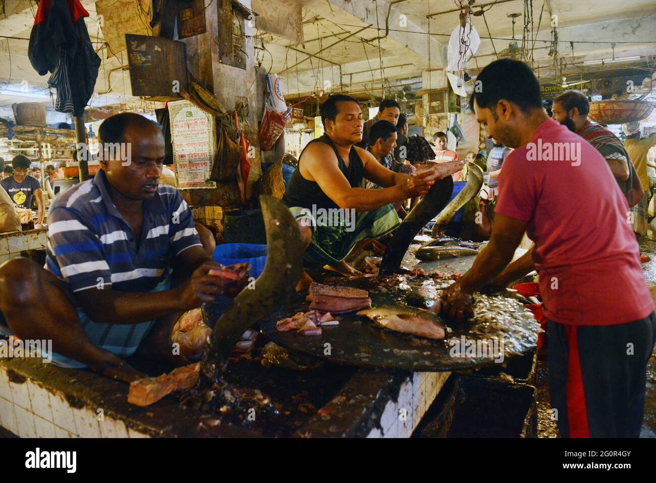 An indoor fish market at the Karwan Bazar market in Dhaka, Bangladesh ...