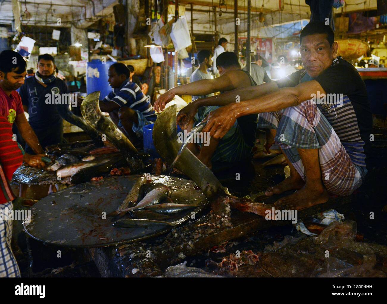 An indoor fish market at the Karwan Bazar market in Dhaka, Bangladesh ...