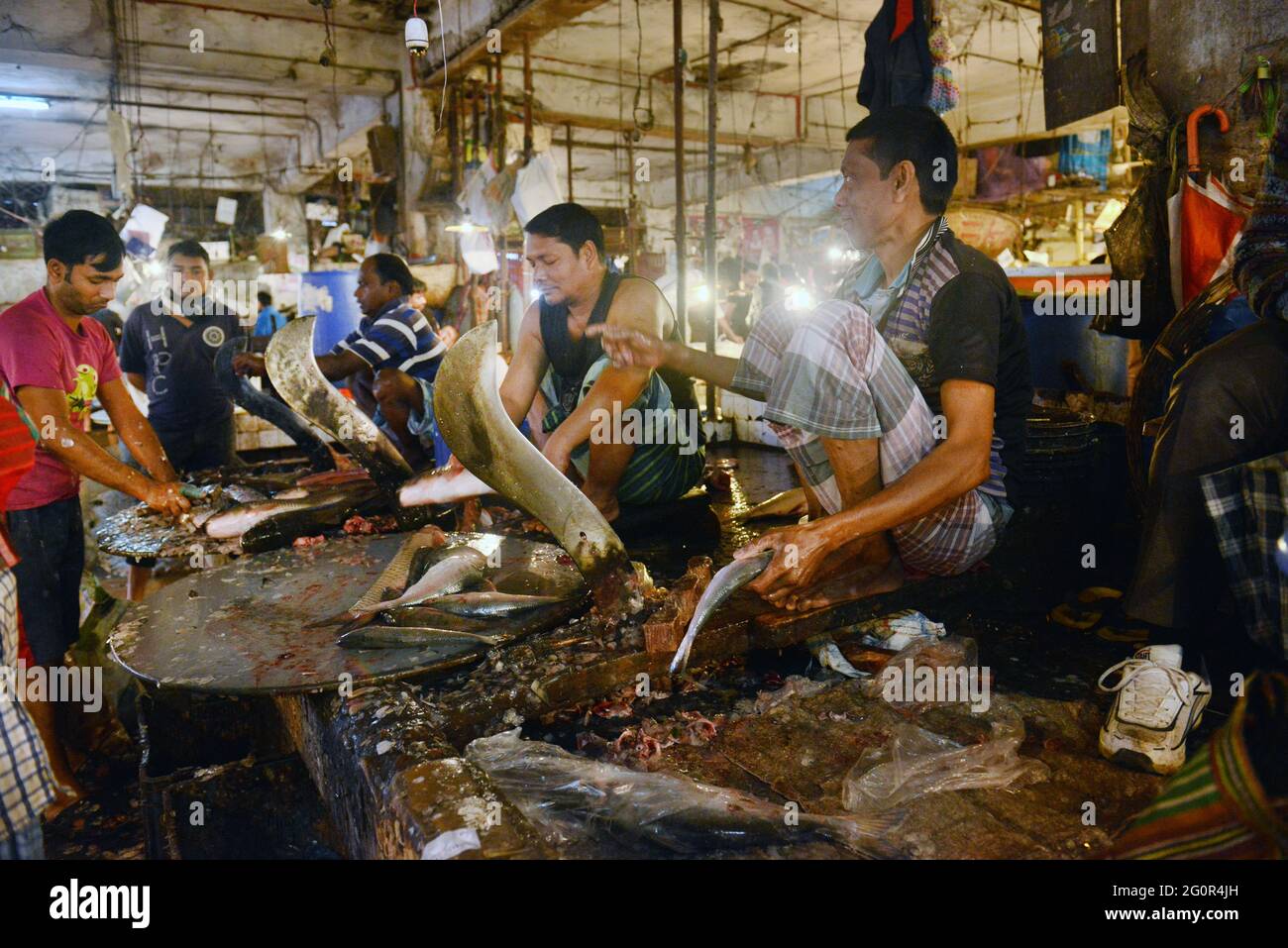 An indoor fish market at the Karwan Bazar market in Dhaka, Bangladesh ...