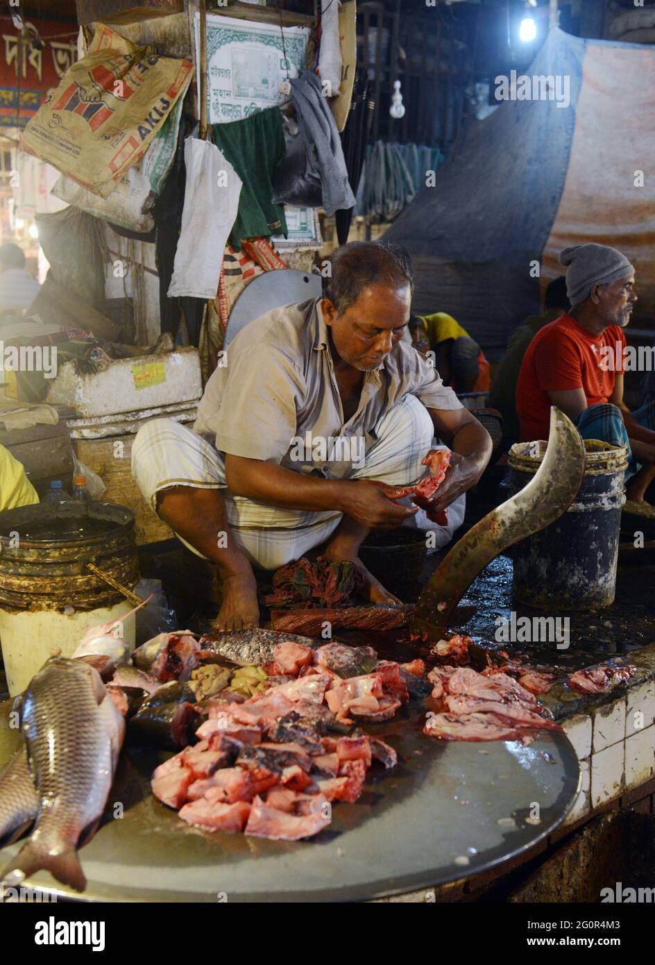 An indoor fish market at the Karwan Bazar market in Dhaka, Bangladesh ...