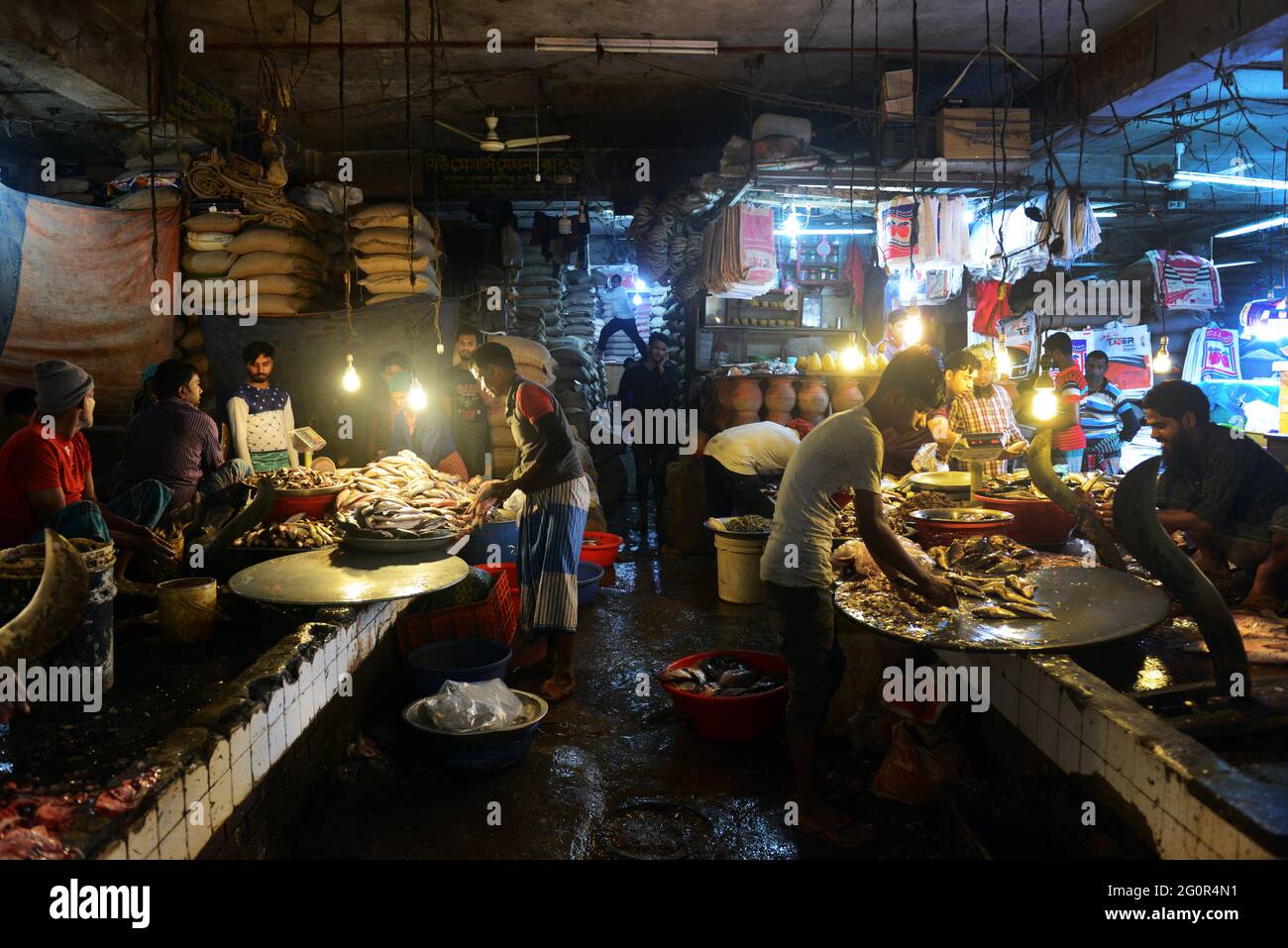 An indoor fish market at the Karwan Bazar market in Dhaka, Bangladesh ...