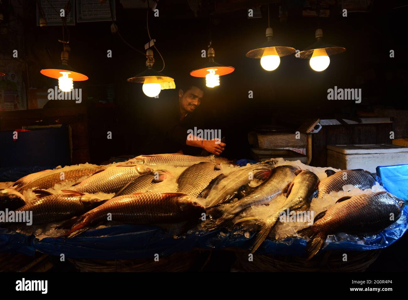 An indoor fish market at the Karwan Bazar market in Dhaka, Bangladesh ...