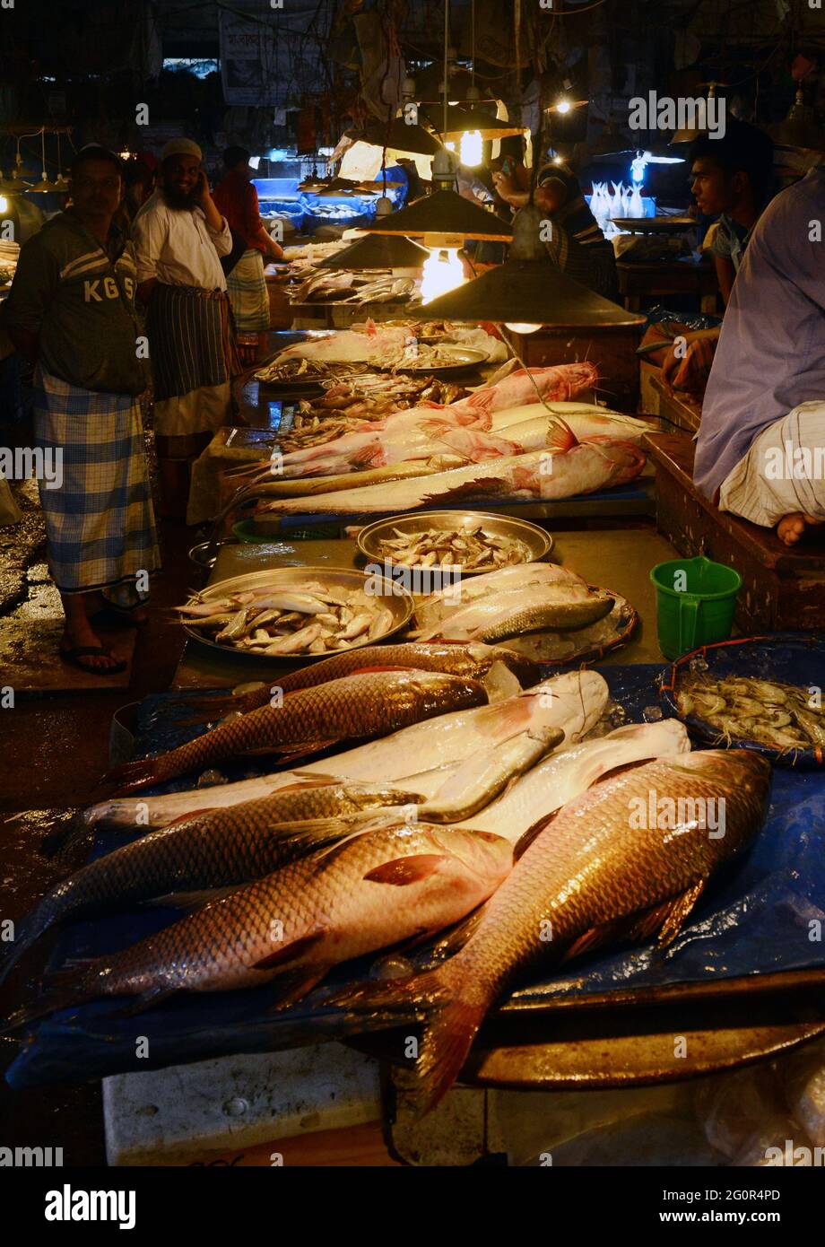 An indoor fish market at the Karwan Bazar market in Dhaka, Bangladesh ...