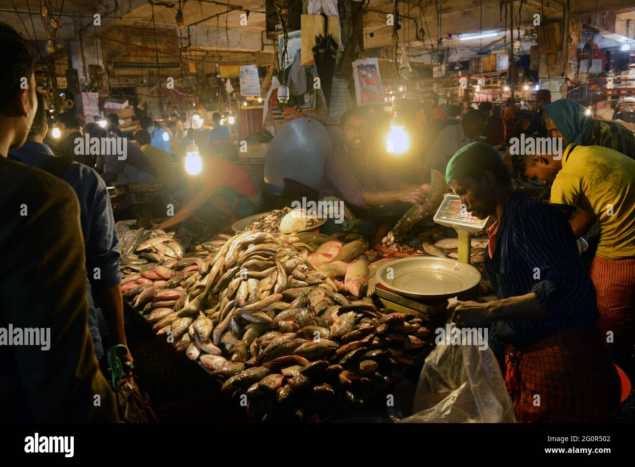 An indoor fish market at the Karwan Bazar market in Dhaka, Bangladesh ...