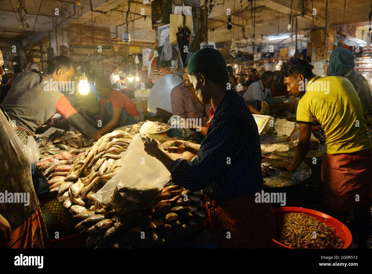 An indoor fish market at the Karwan Bazar market in Dhaka, Bangladesh ...