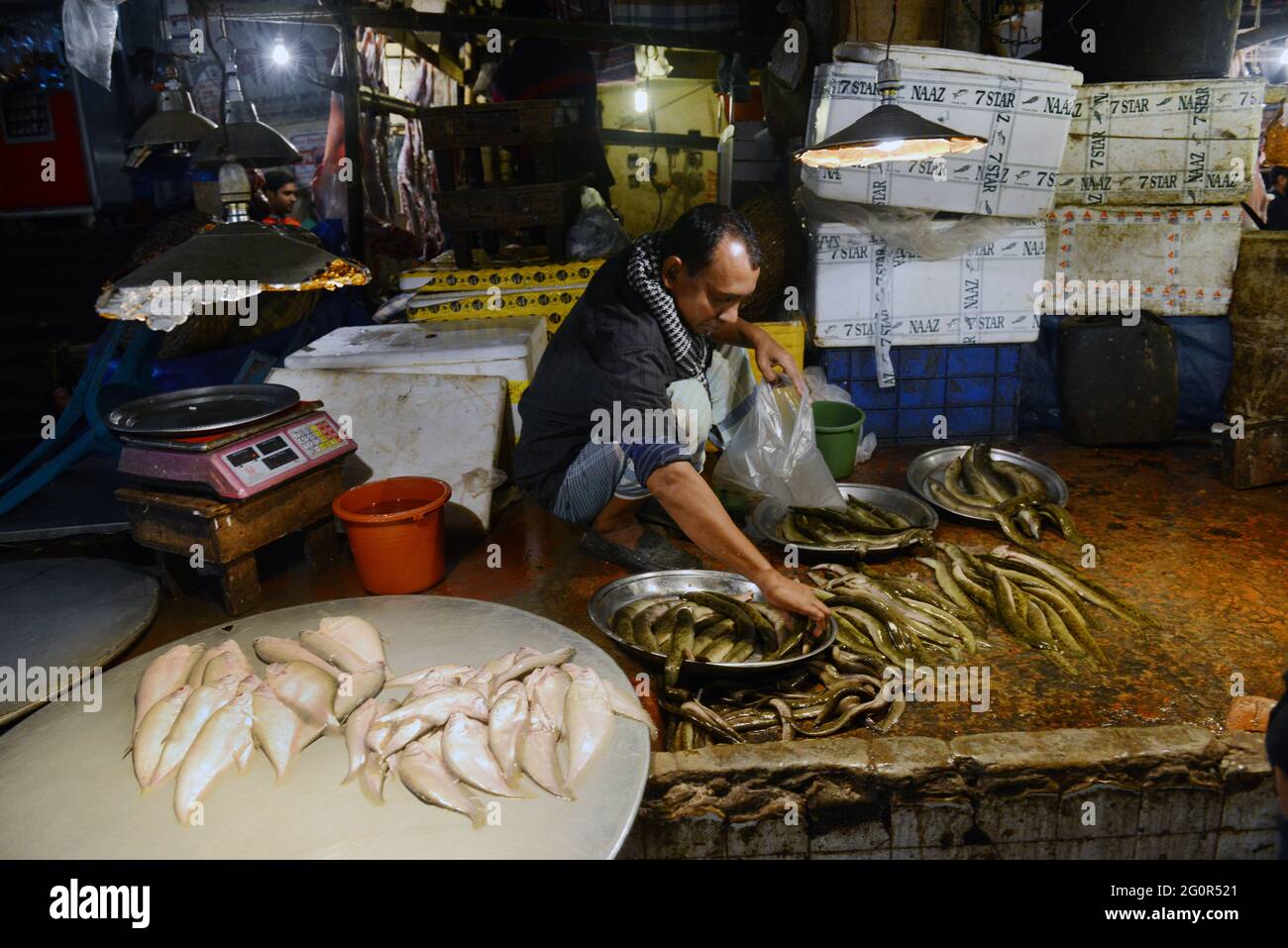 An indoor fish market at the Karwan Bazar market in Dhaka, Bangladesh ...