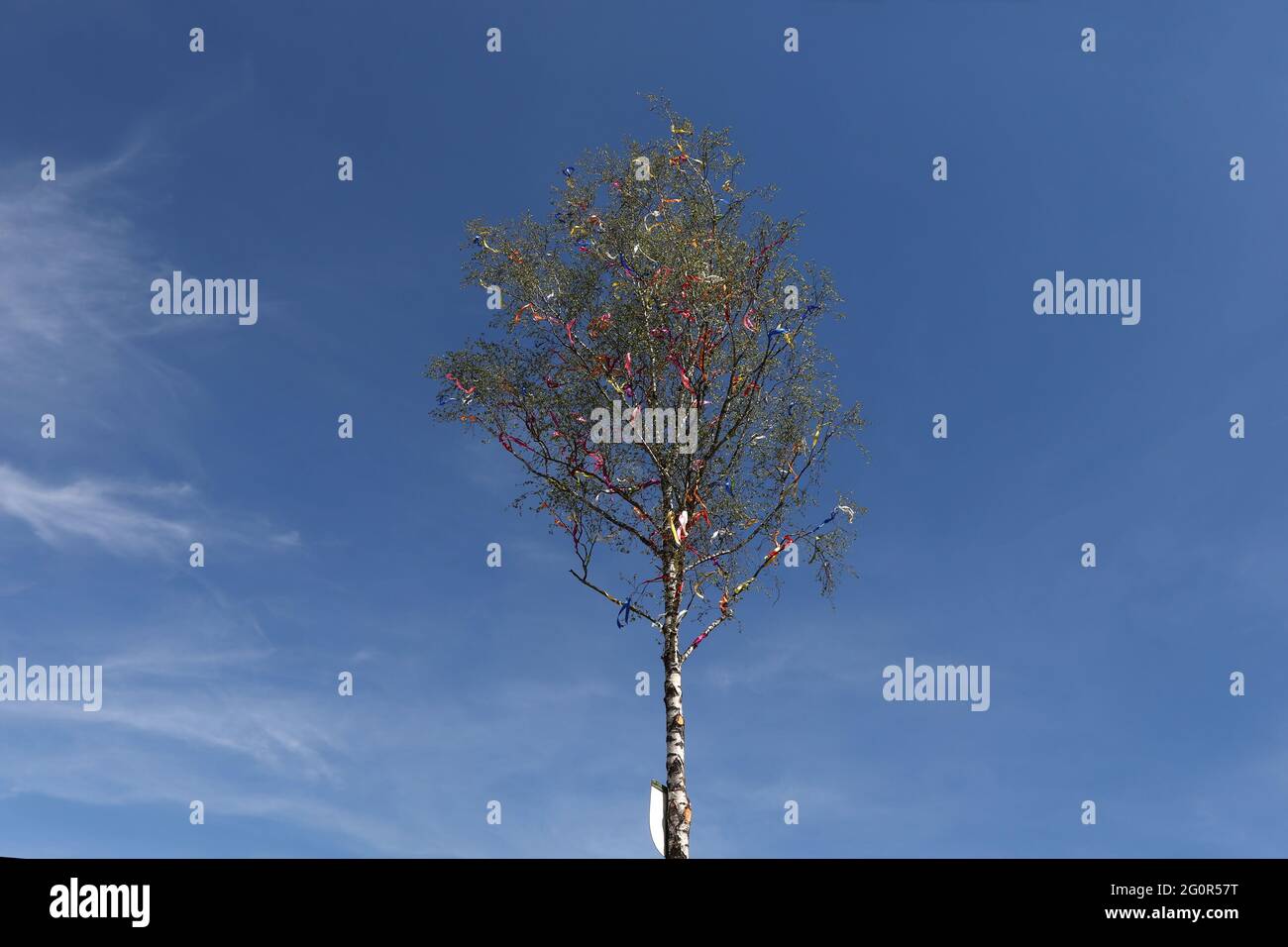 Low angle shot of a traditional maypole with colored ribbons on blue ...