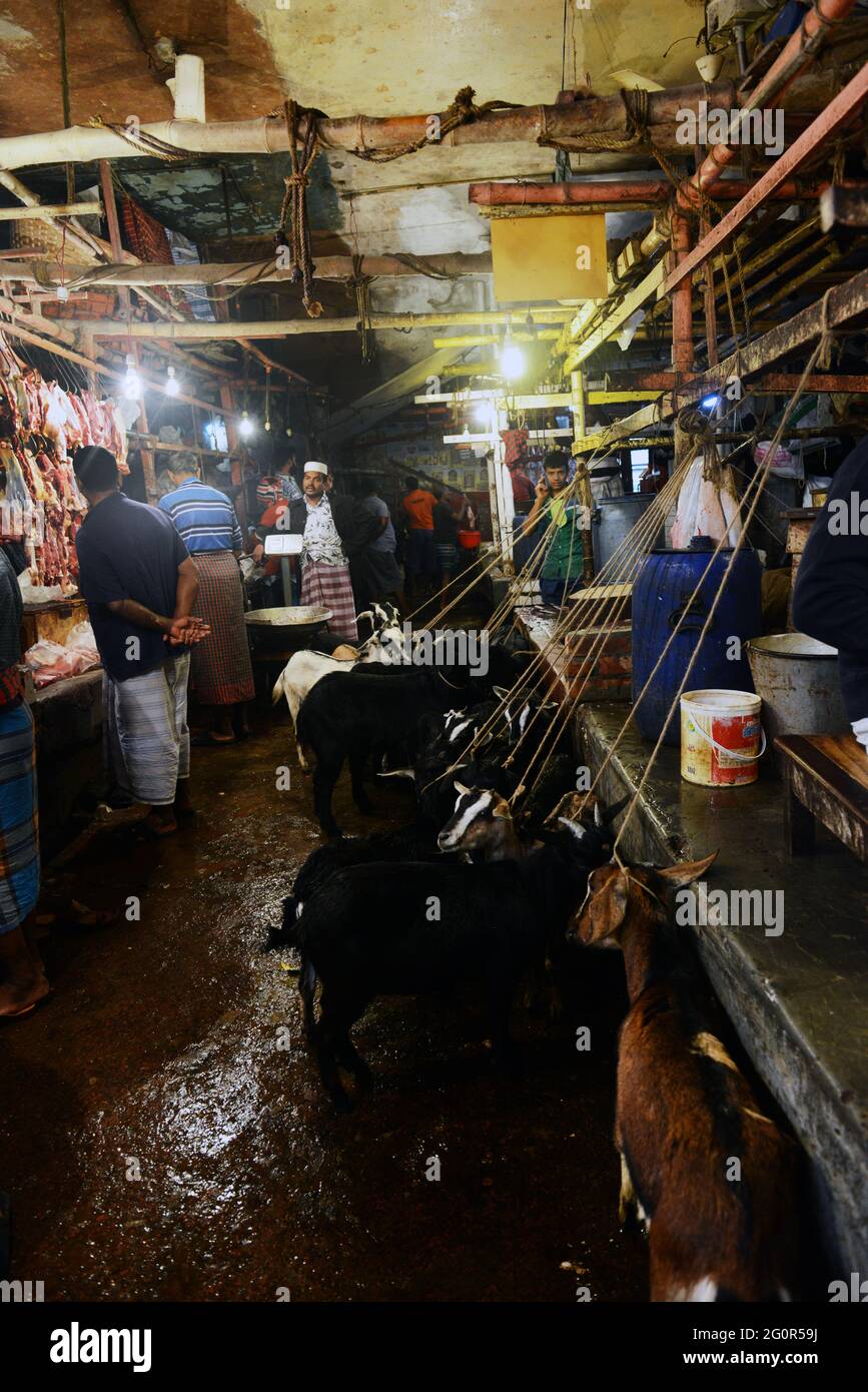 Goat meat market inside the Karwan bazar market in Dhaka, Bangladesh Stock Photo - Alamy