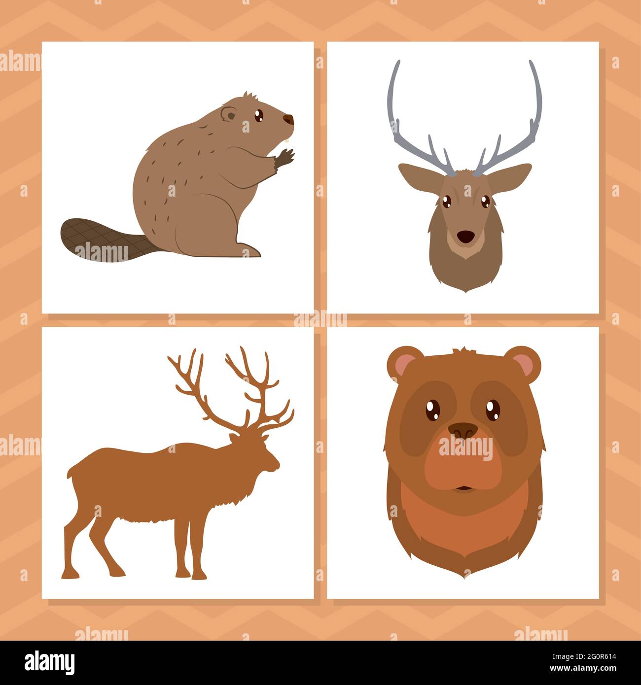 canadian animals icon set design Stock Vector Image & Art - Alamy