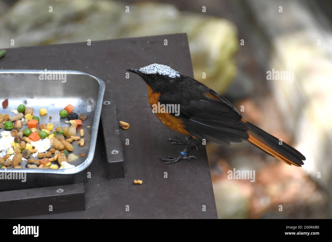 Los Angeles, California, USA 20th May 2021 A general view of atmosphere ...
