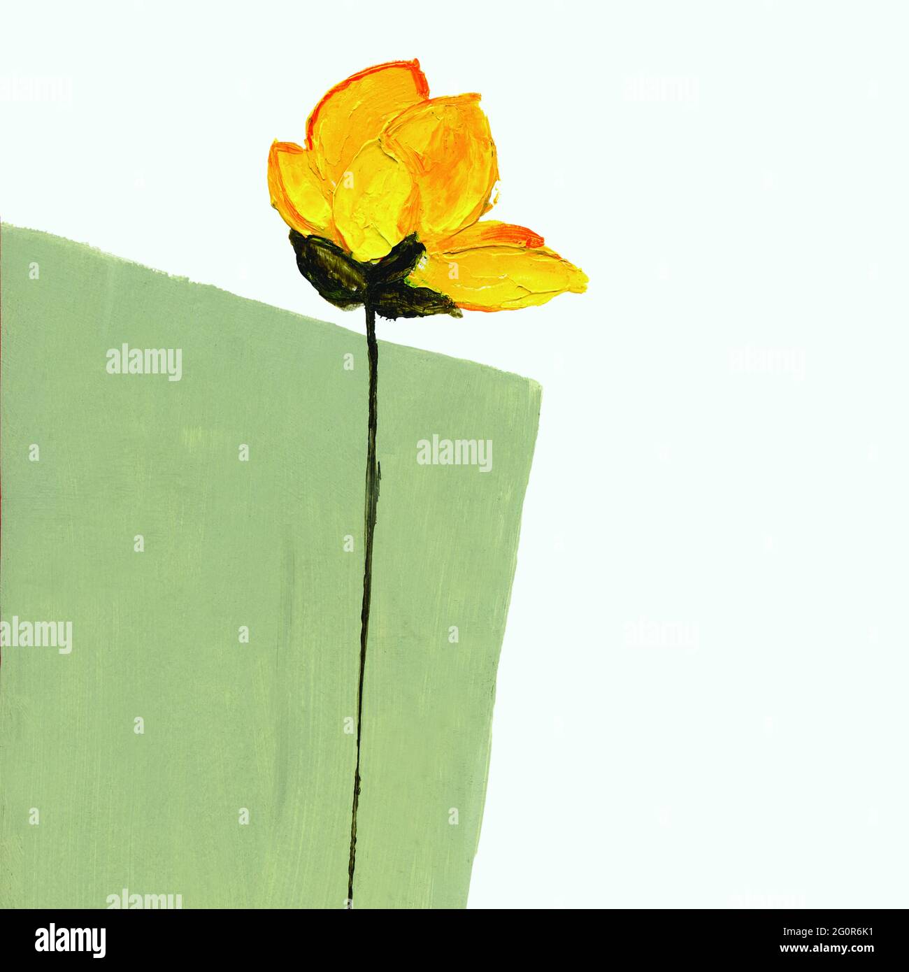 A Serene Oasis: A Tranquil Landscape Bathed in Golden Sunlight, Where ...