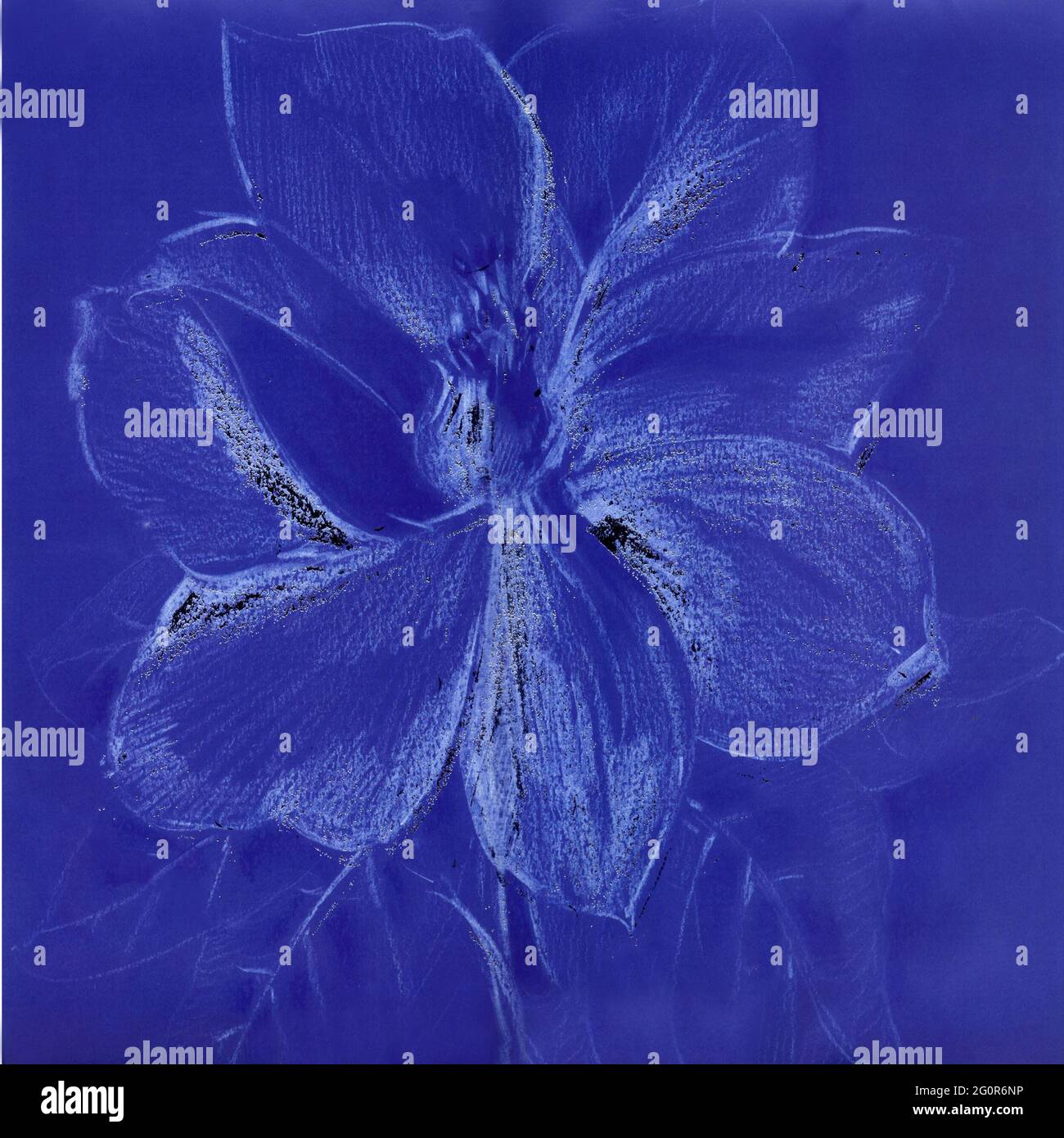 A Serene Oasis: A Tranquil Landscape Bathed in Golden Sunlight, Where ...