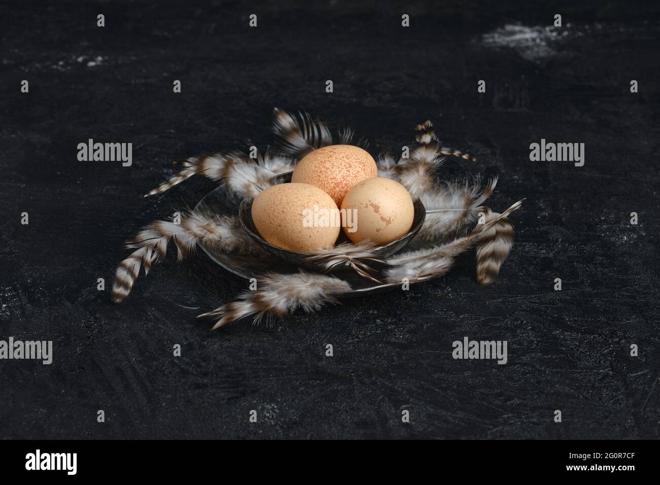 Guinea fowl and chicken hi-res stock photography and images - Alamy