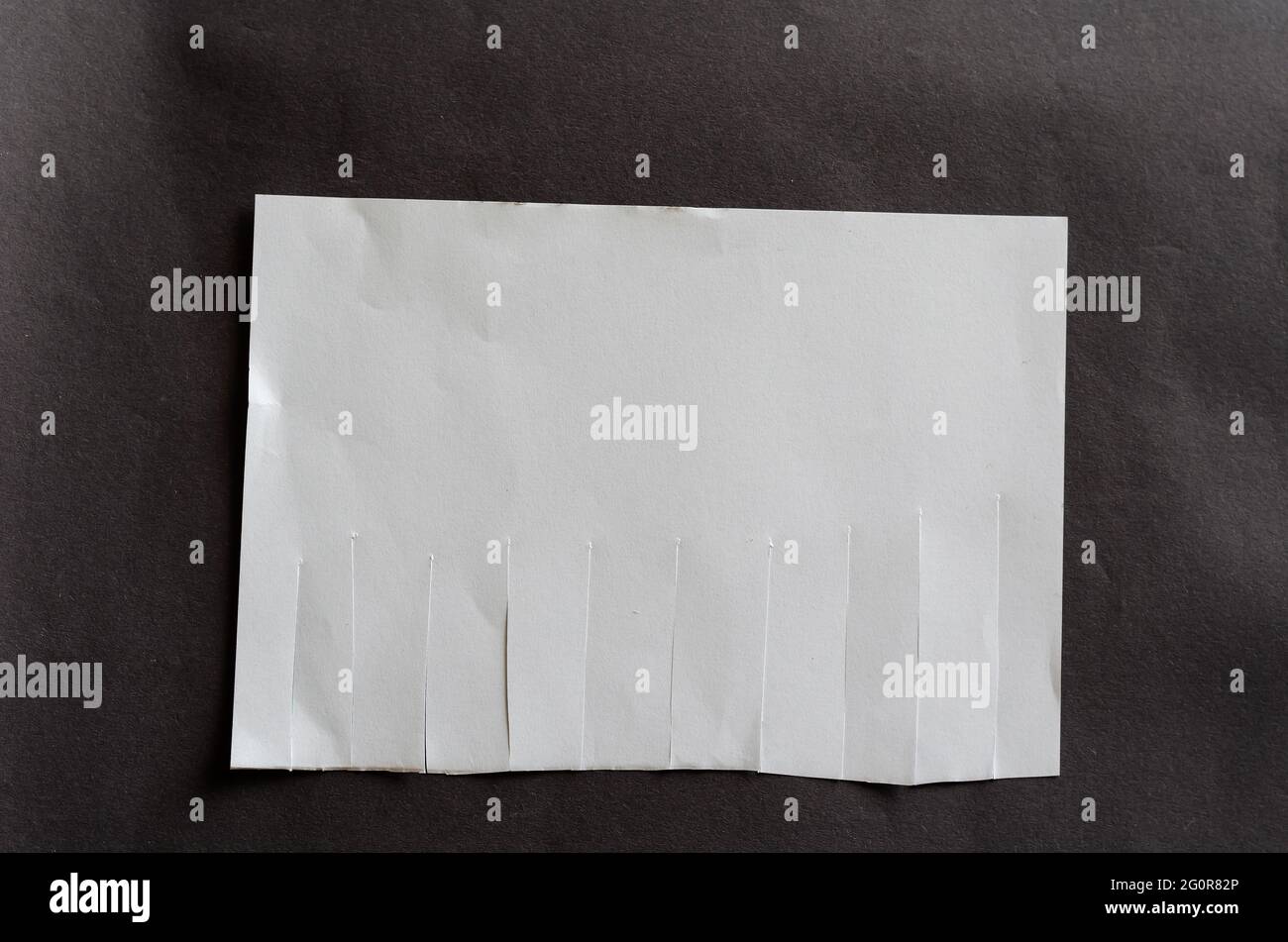 White blank sheet of paper with tear off tabs on gray background ...