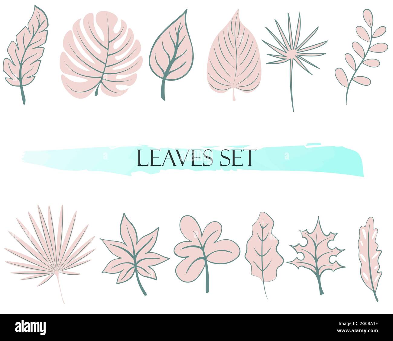 Leaves set, vector. Botanical simple elements of delicate pink color ...