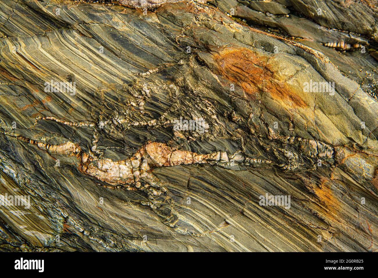 The rocks in the Porthleven Cliffs are mainly fine grained sedimentary ...