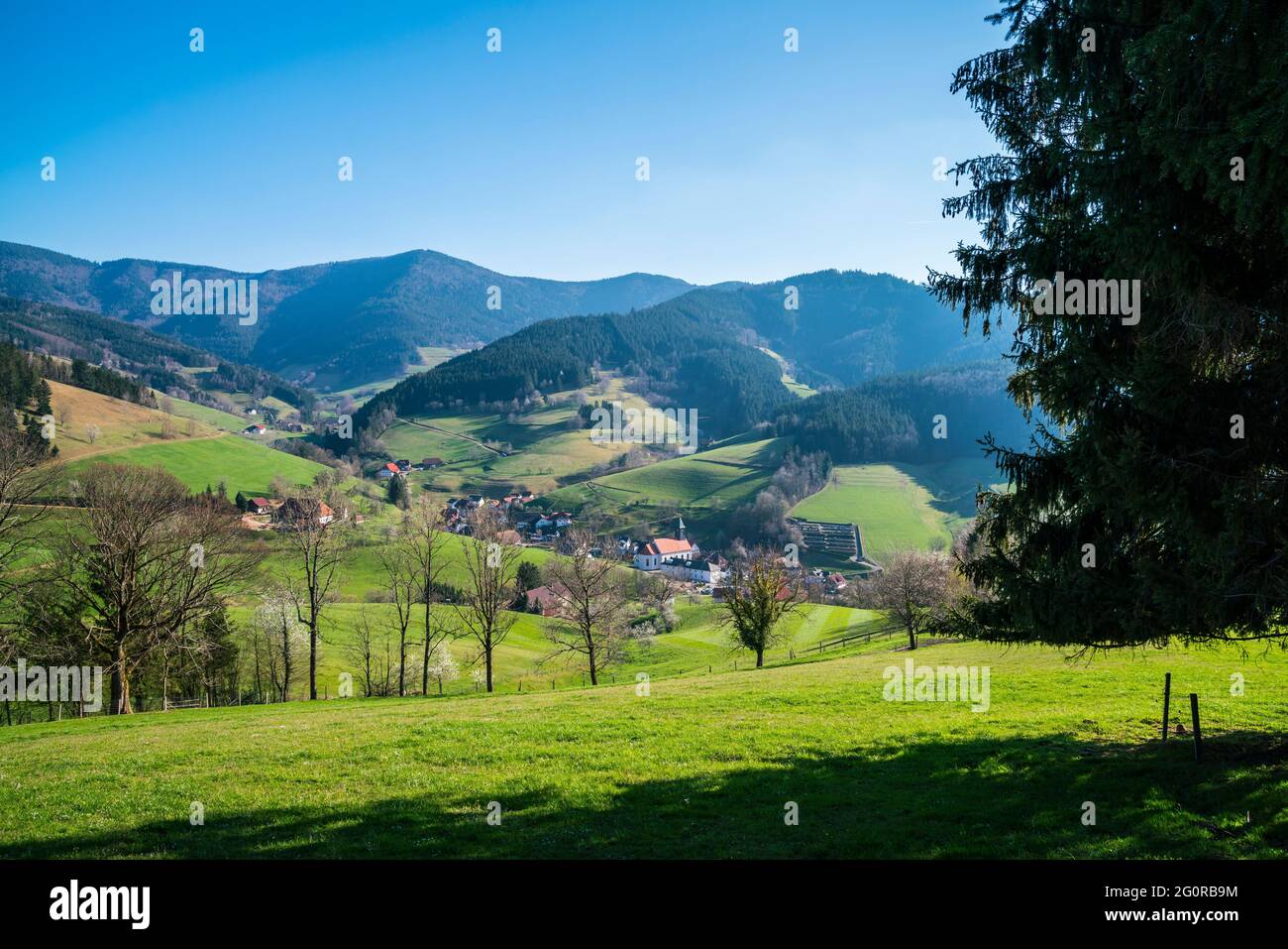 Germany, Schwarzwald village houses and church in green landscape ...