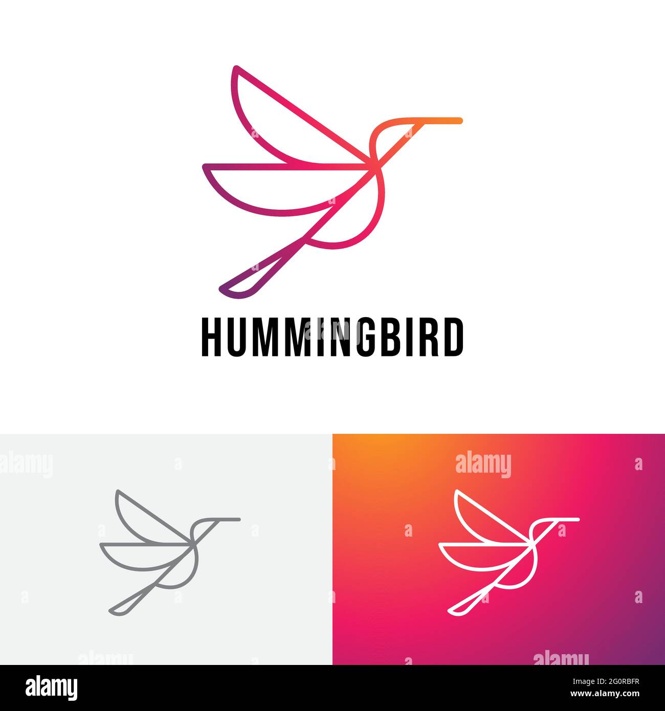 Hummingbird logo vector hi-res stock photography and images - Alamy