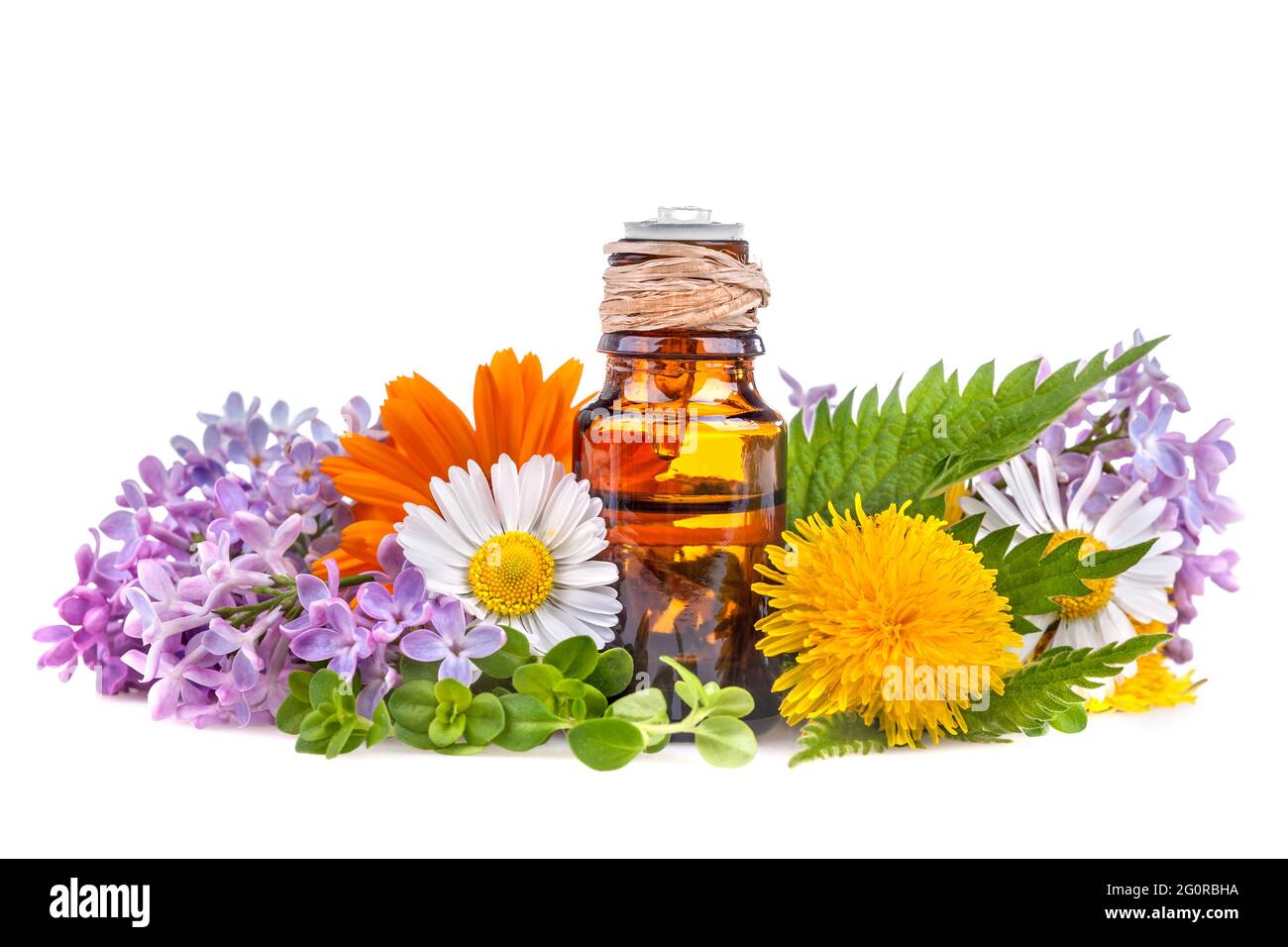 herbs and flowers with organic aromatic essential oil Stock Photo - Alamy