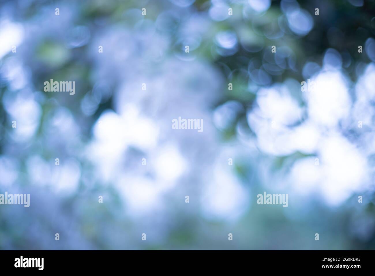 Nature sparkle hi-res stock photography and images - Alamy
