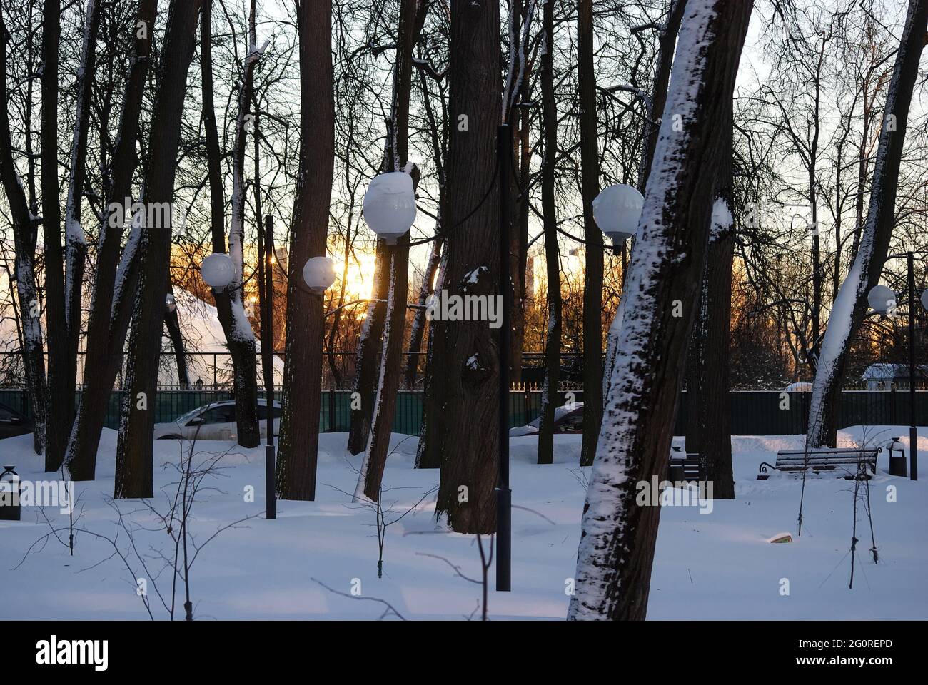 shadows from trees in the park, in winter Stock Photo - Alamy