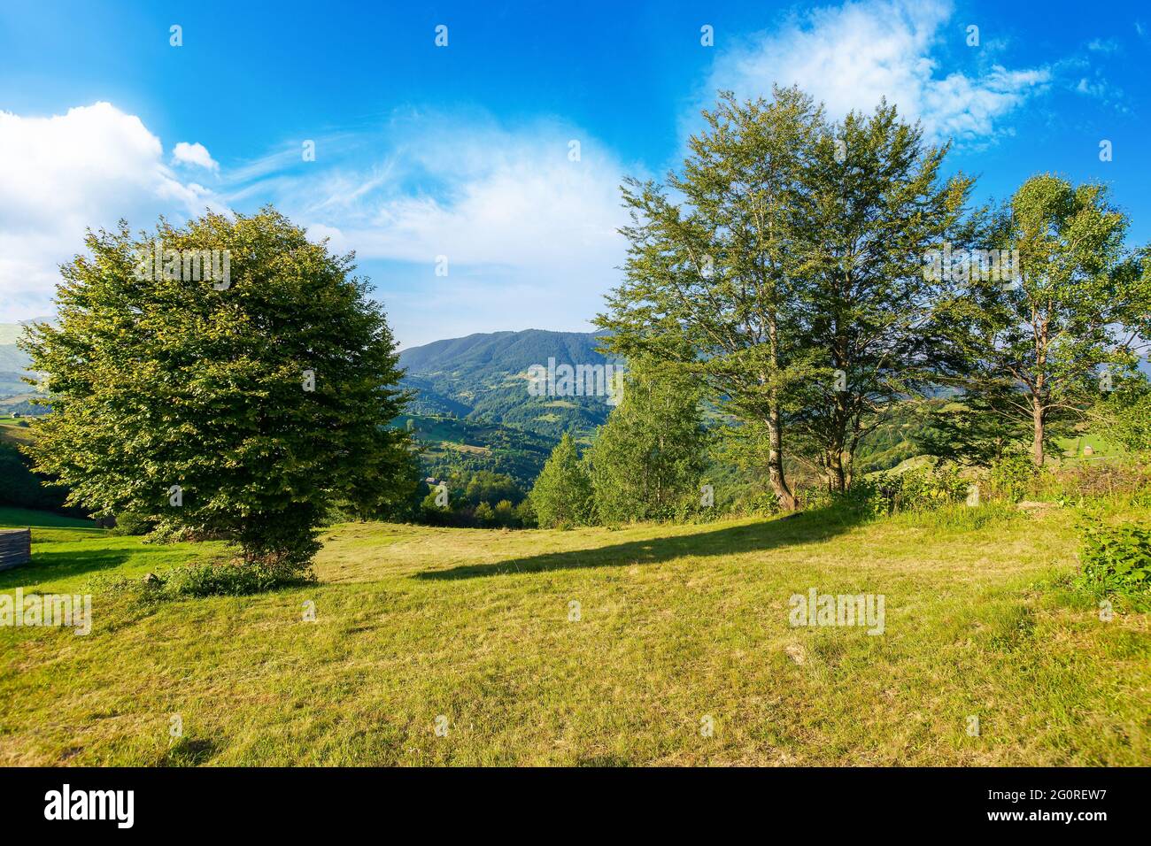 mountainous rural landscape. trees on hills and grassy fields rolling ...