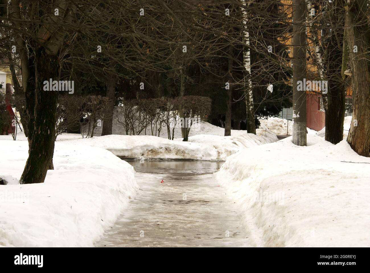 paved path in the park in the snow, in winter Stock Photo - Alamy