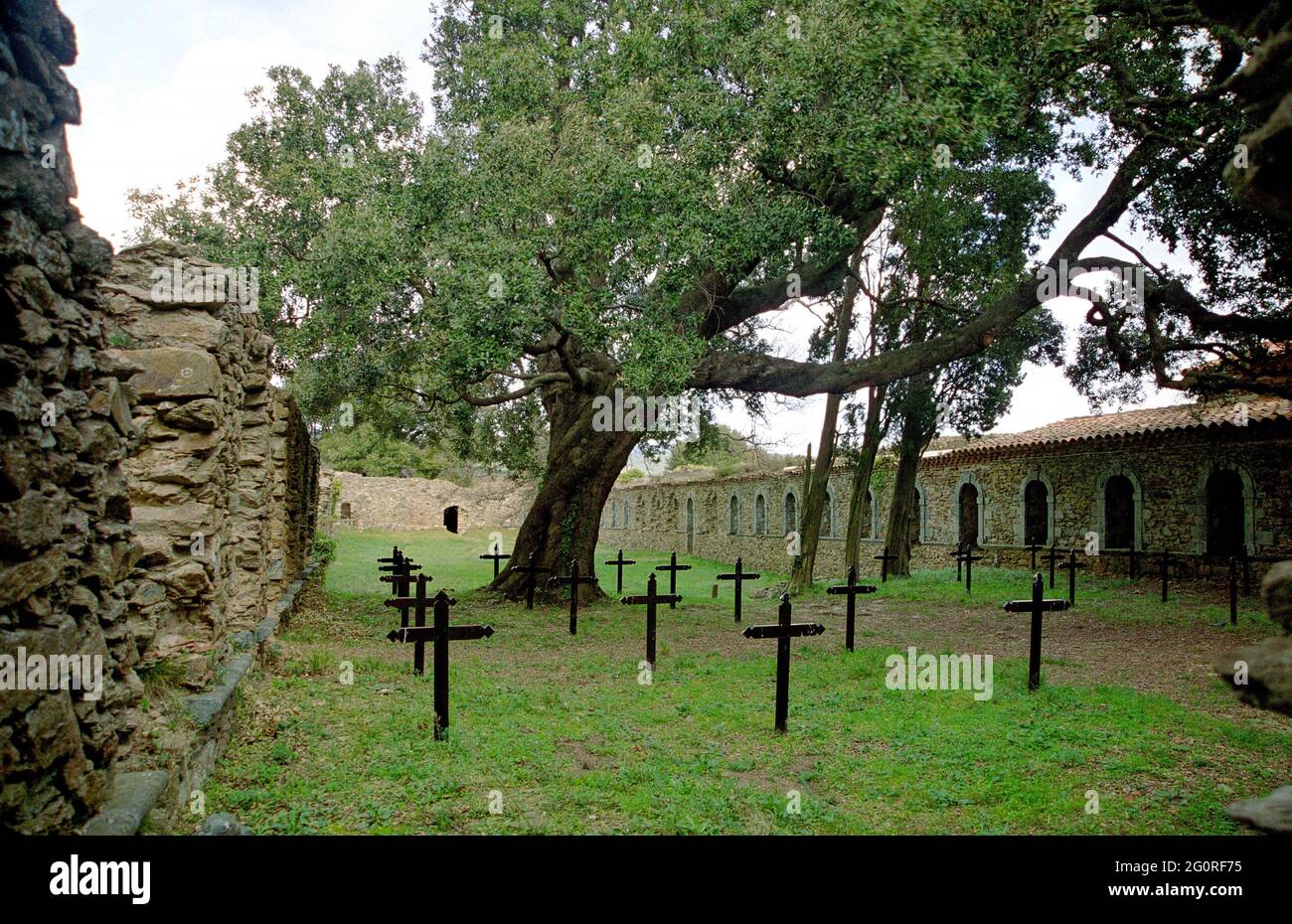 Monks cemetery at the Chartreuse de La Verne built in the heart of the ...