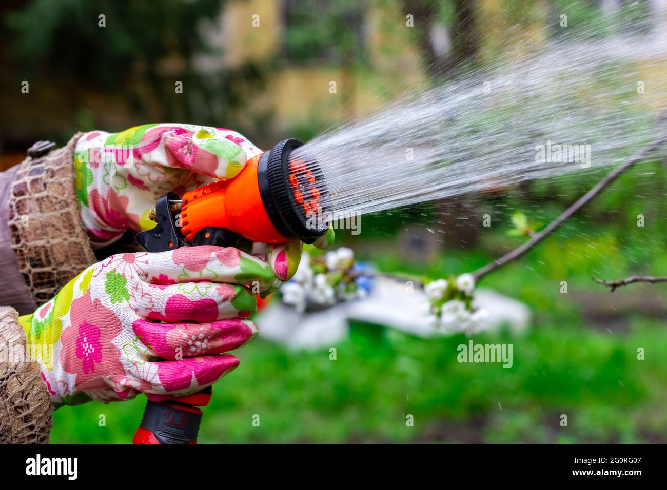 Watering can spray gun hi-res stock photography and images - Alamy