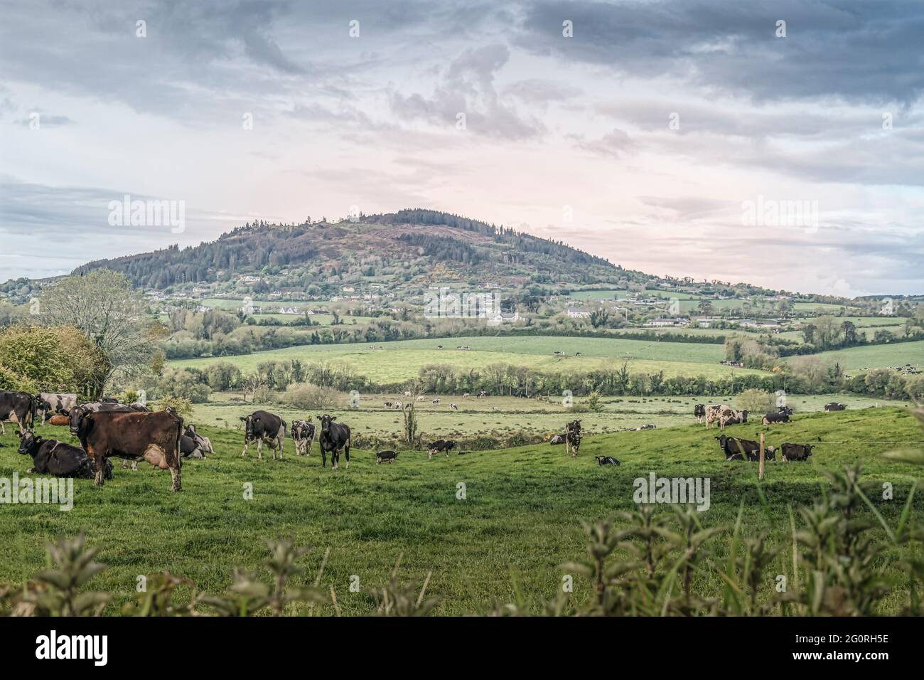 Irish Landscape. View for Tara Hill from Castletown village. County ...