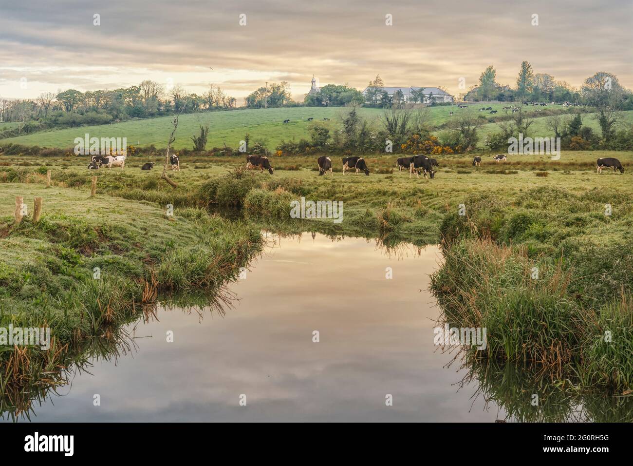 Castletown tara hi-res stock photography and images - Alamy