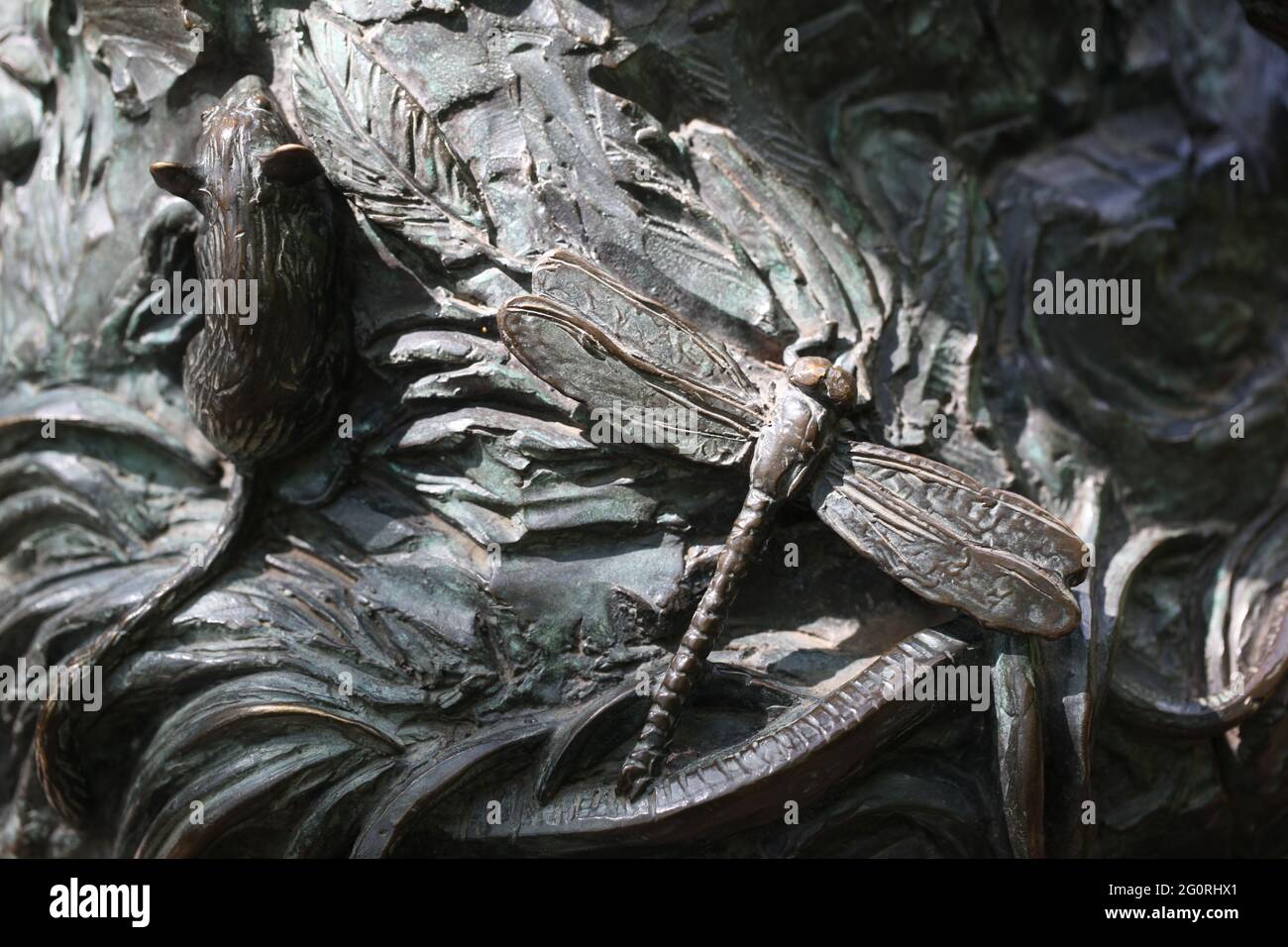 Arts & Culture Concept - Abstract detail of a Dragonfly and Dormouse on ...