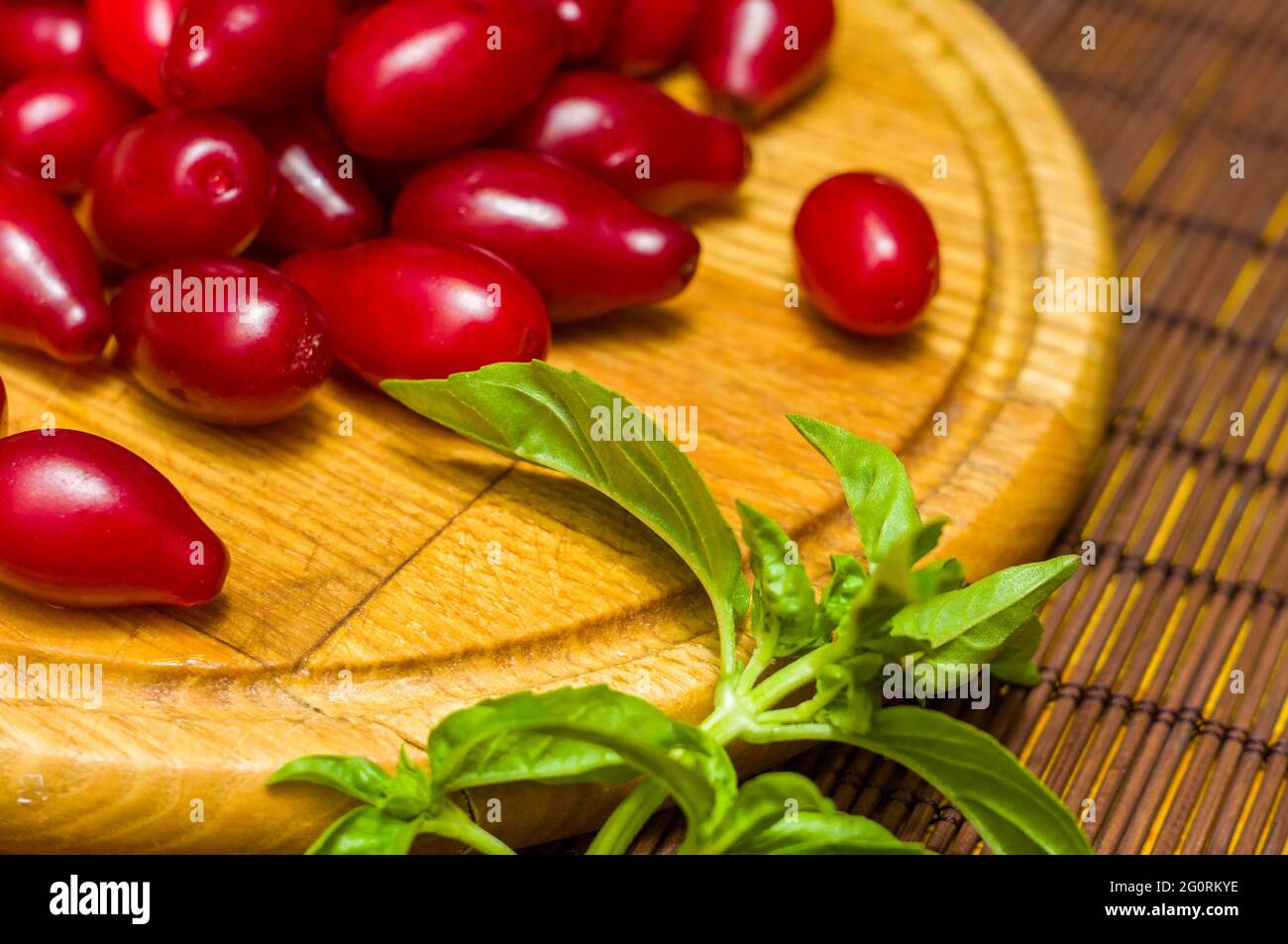 Dogwood sprig red berries close hi-res stock photography and images - Alamy