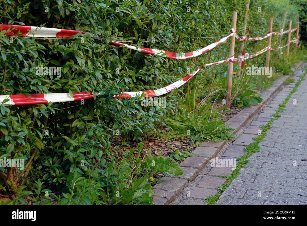 Park area surrounded with red and white barrier tape around a hedge ...