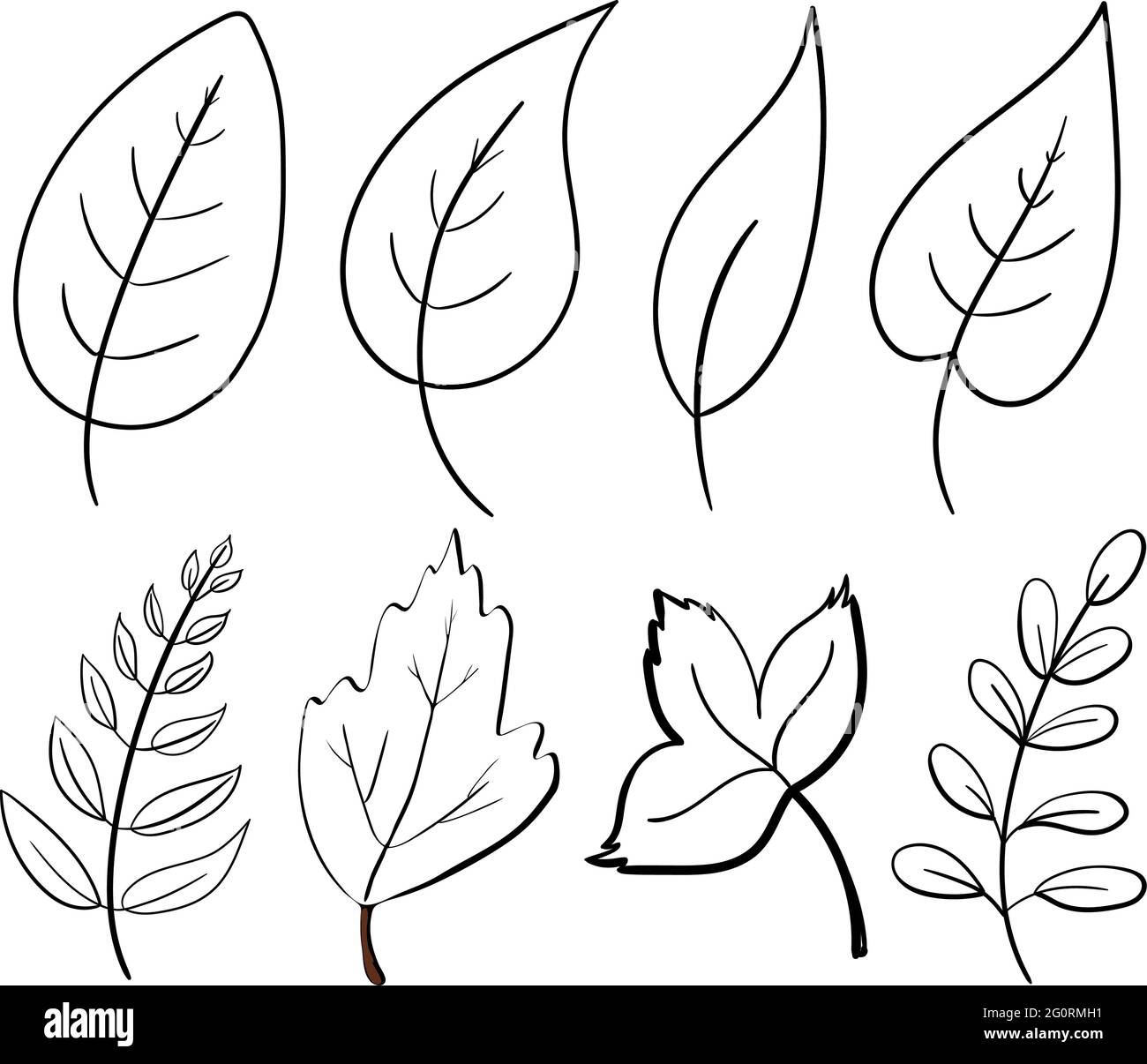 Ecology leaf concept. Isolated on white background. Vector botanical ...