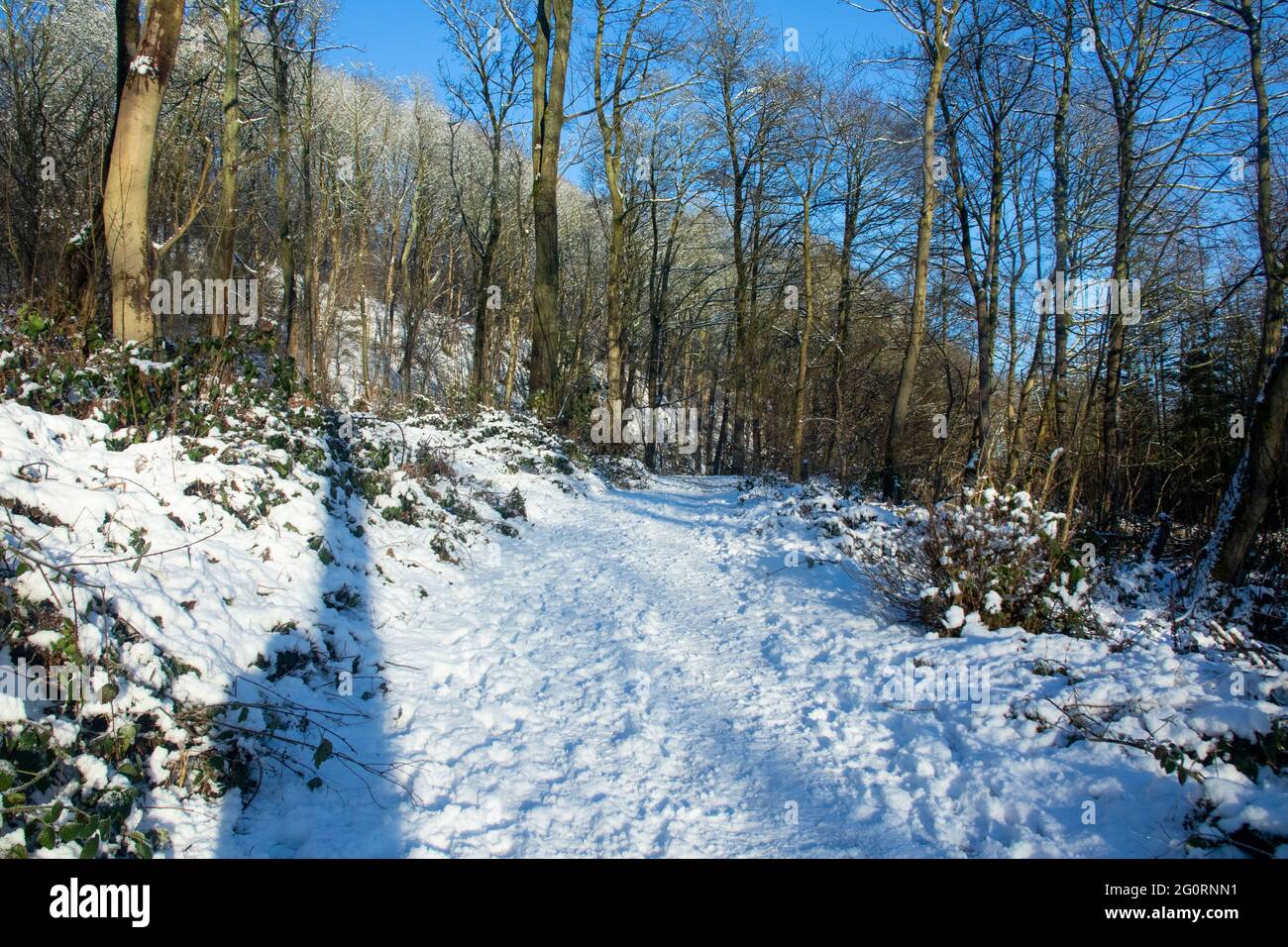 Snow-covered winter scene Stock Photo - Alamy