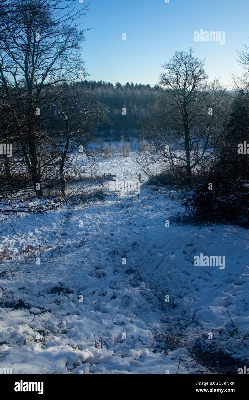 Snow-covered winter scene Stock Photo - Alamy