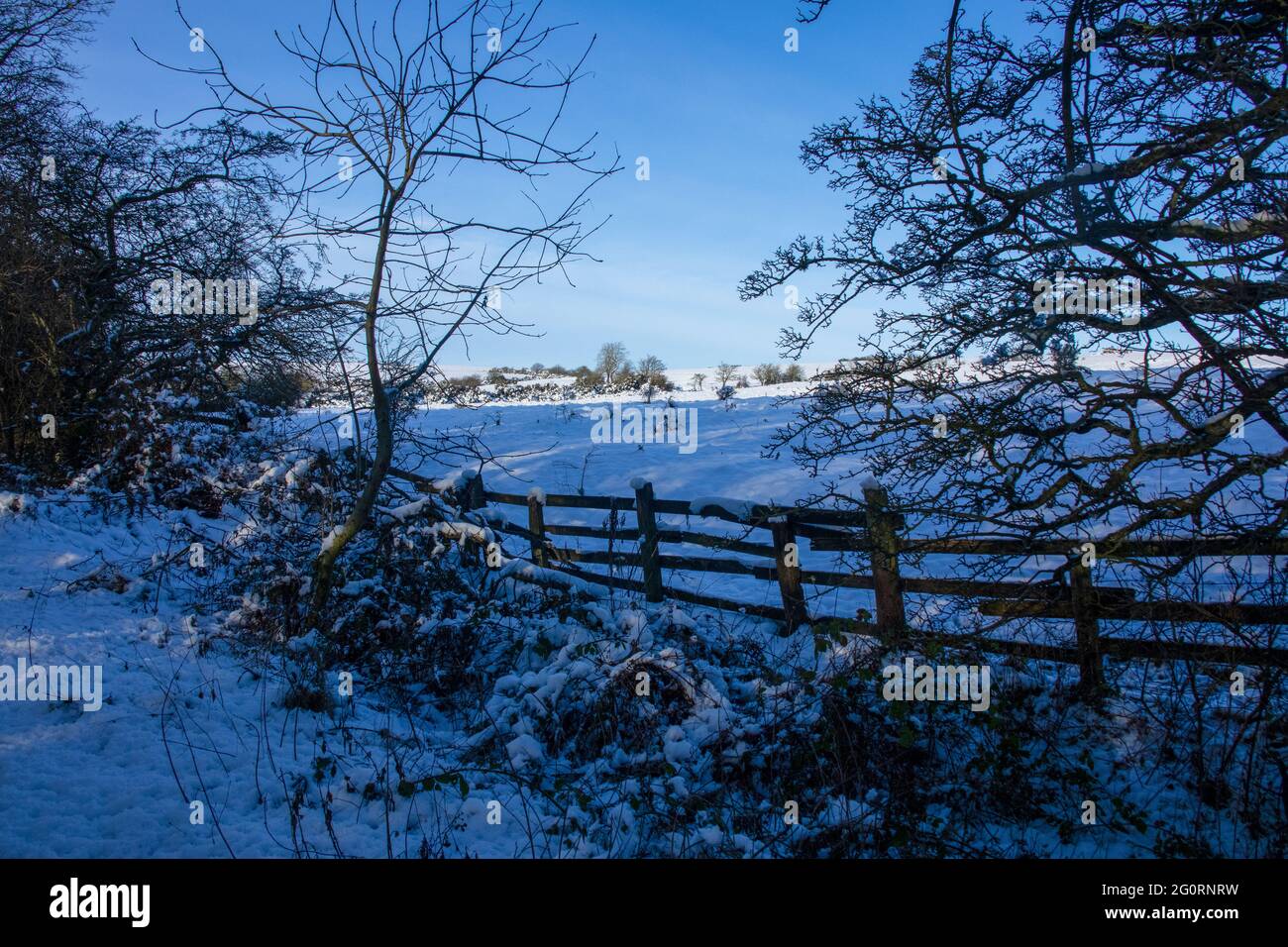 Snow-covered winter scene Stock Photo - Alamy