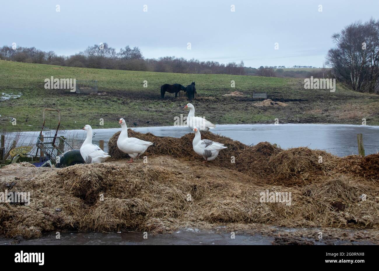Muck pile hi-res stock photography and images - Alamy