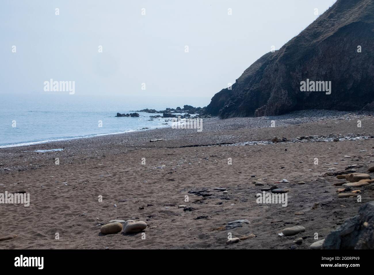 Blue point spring hi-res stock photography and images - Alamy