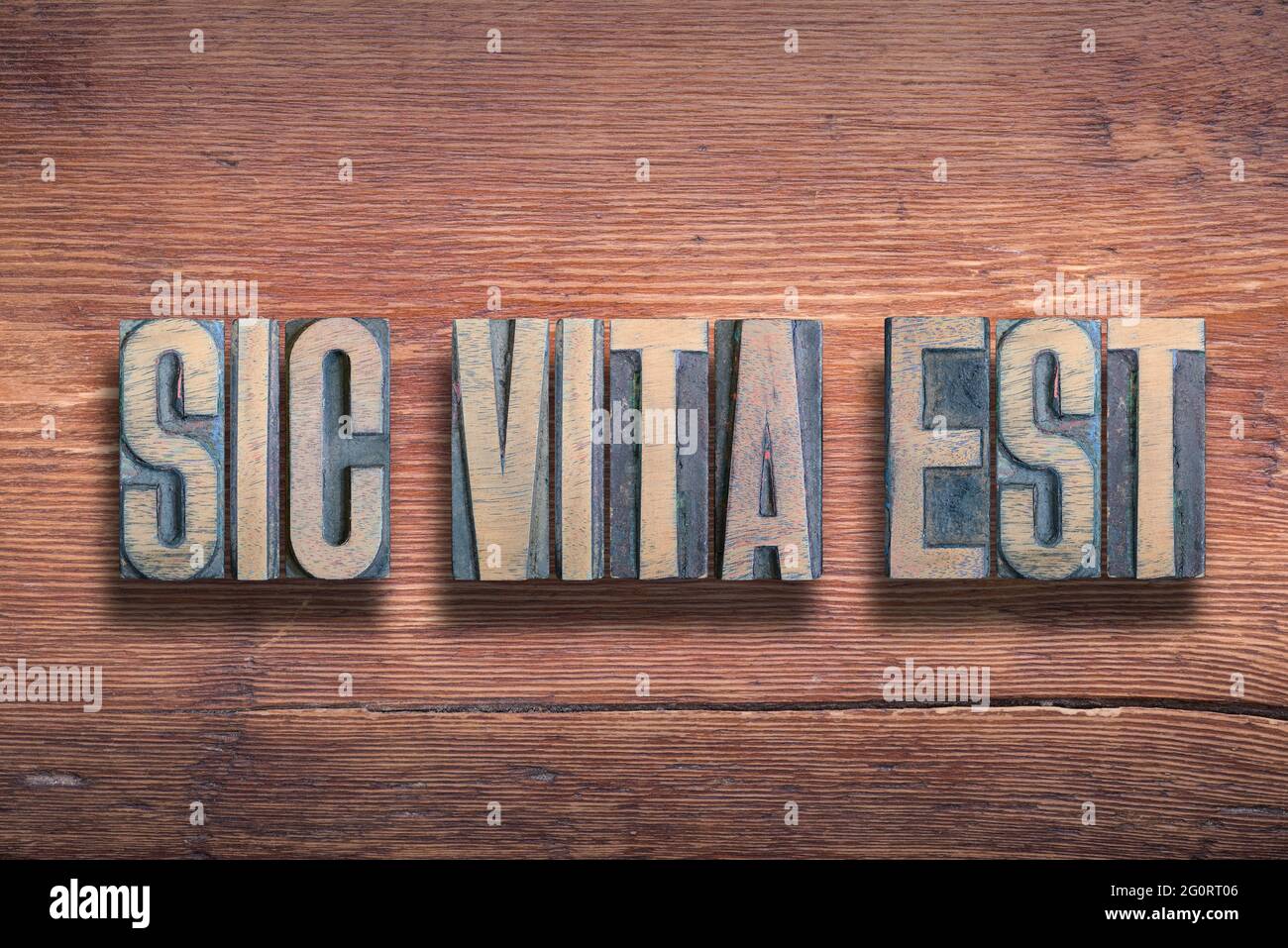 sic vita est ancient Latin saying meaning - thus is life, combined on ...