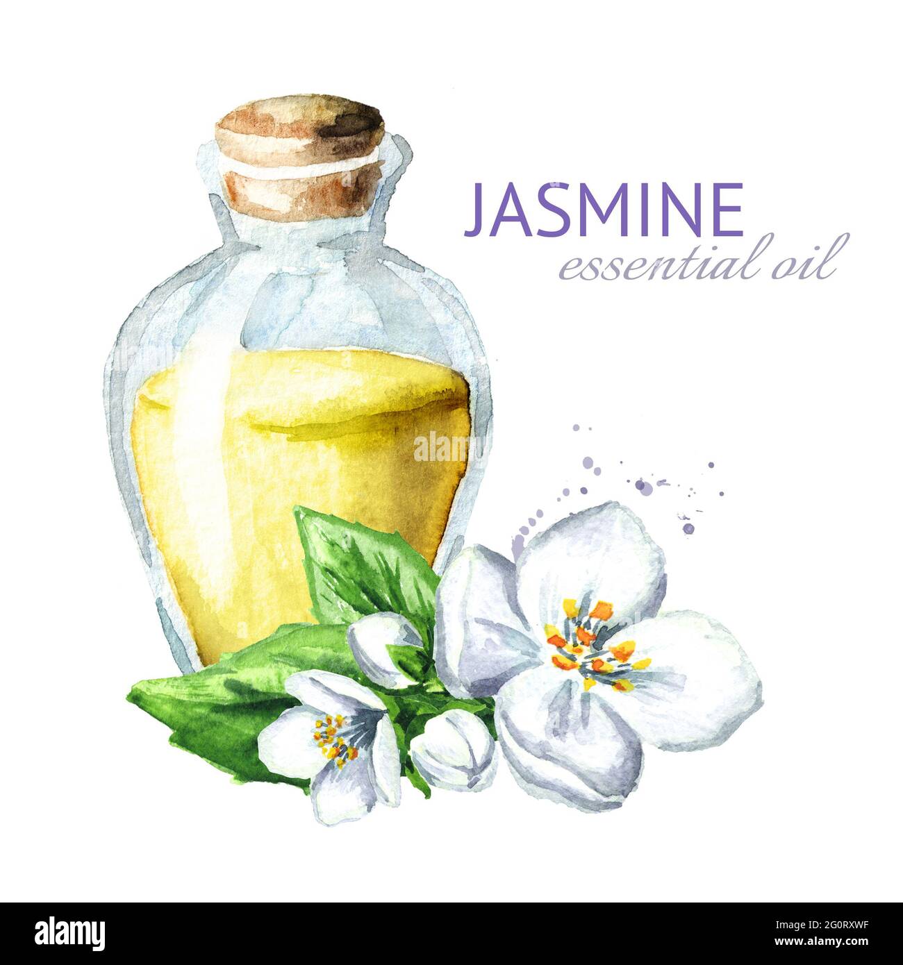 White jasmine flower and essential oil. Spa and aromatherapy ...