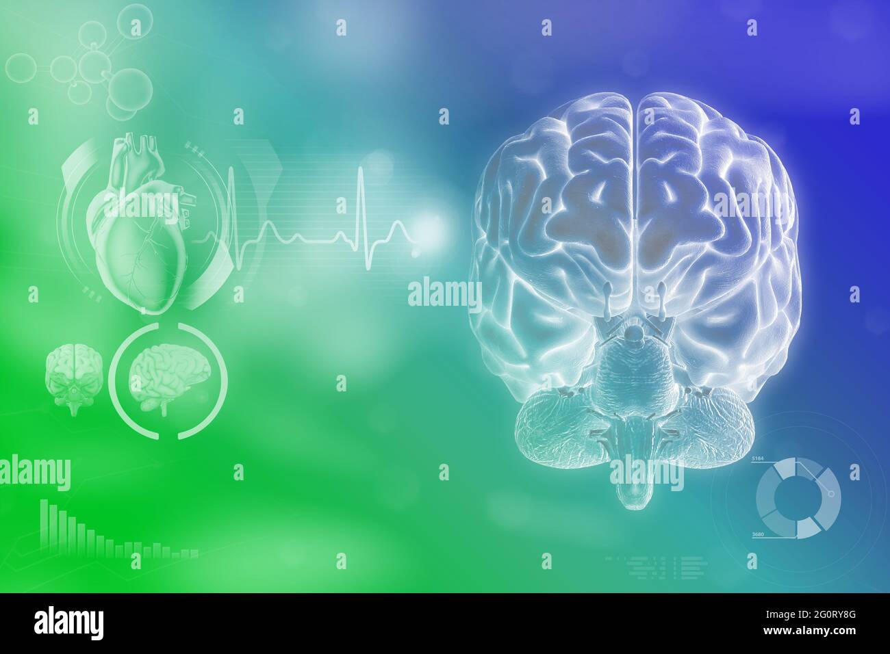 Human brain, mental analysis concept - highly detailed modern ...