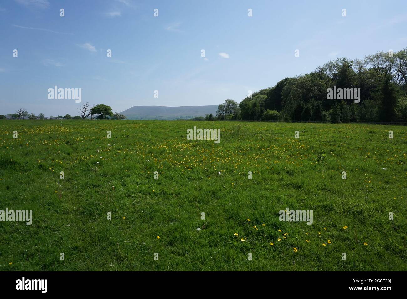 Early Summer Landscape Stock Photo - Alamy