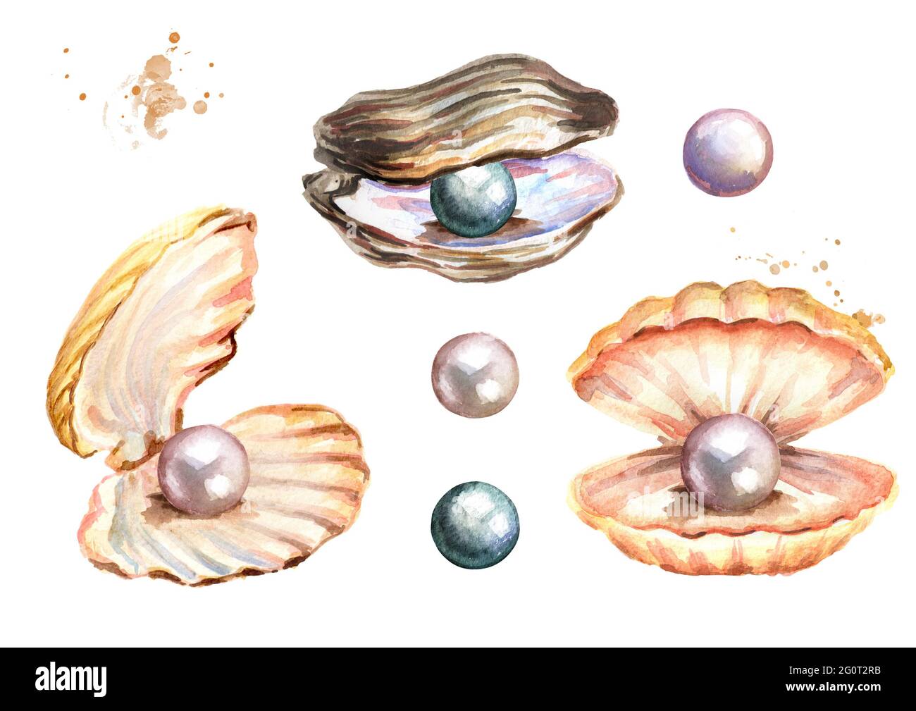 Oyster With Pearl Clipart