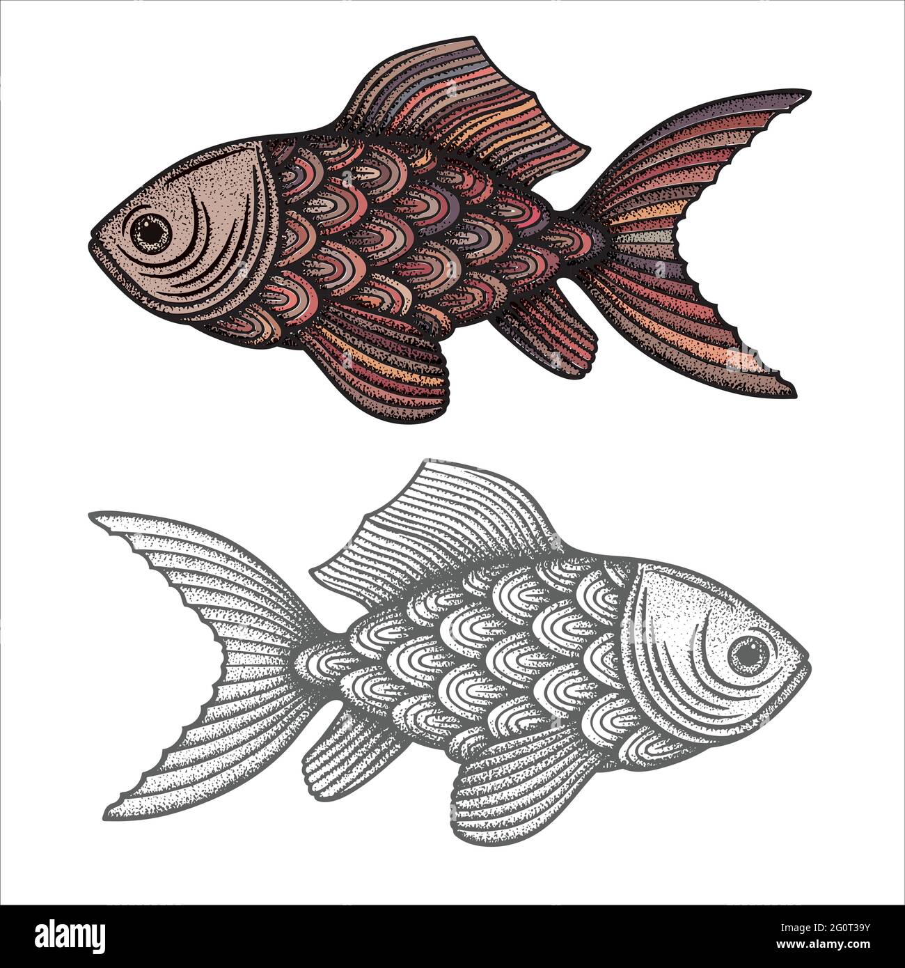 Fish abstract drawings set. Hand drawn fish vintage, engraving style ...