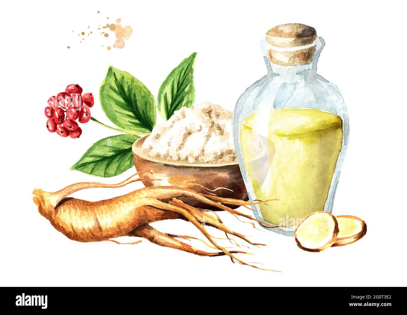 Organic fresh ginseng composition. Root, leaf, flower, powder, tincture ...